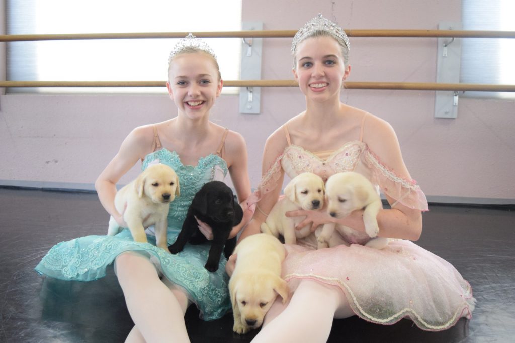 Allen Civic Ballet - Classic Ballet in Allen, Texas