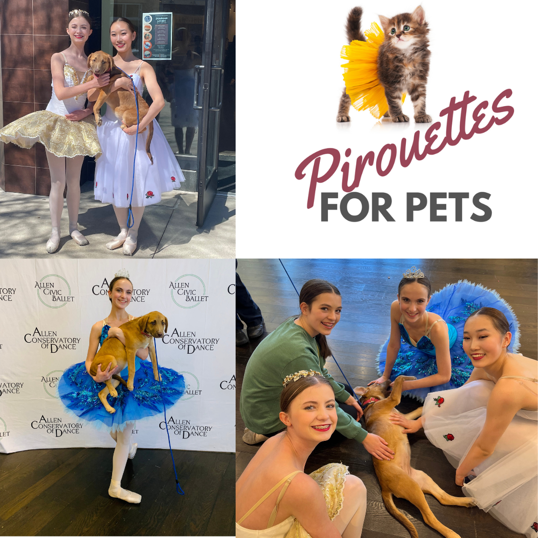 News - Allen Civic Ballet